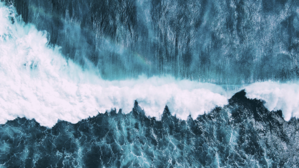 Project Pain Points vs Needs: How They're Different & Why it Matters ...